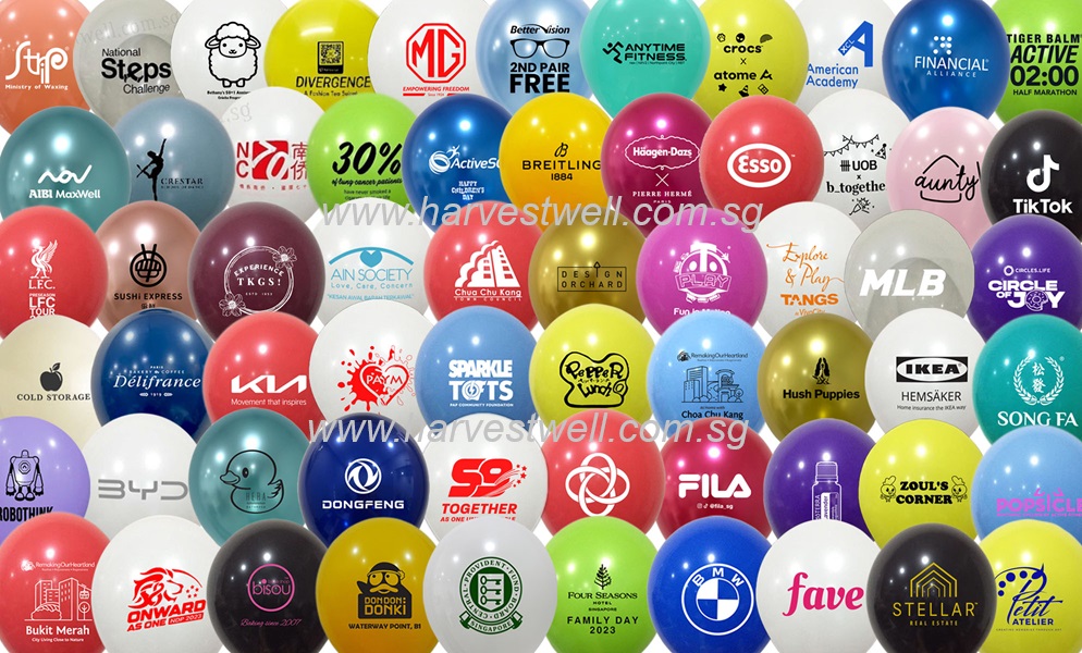 [500 pieces] Balloon Logo Printing 1 Side 1 Colour Balloon Printing ...