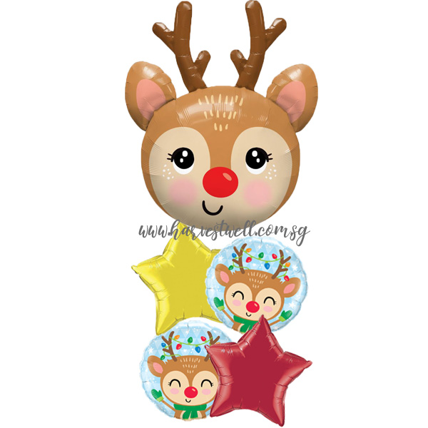 Christmas Red Nosed Reindeer Balloon Package : Free Balloon Delivery in ...